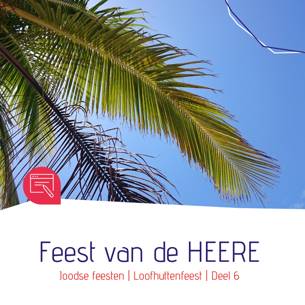 Welkom bij de Hersteld Hervormde Jongeren Organisatie - HHJO