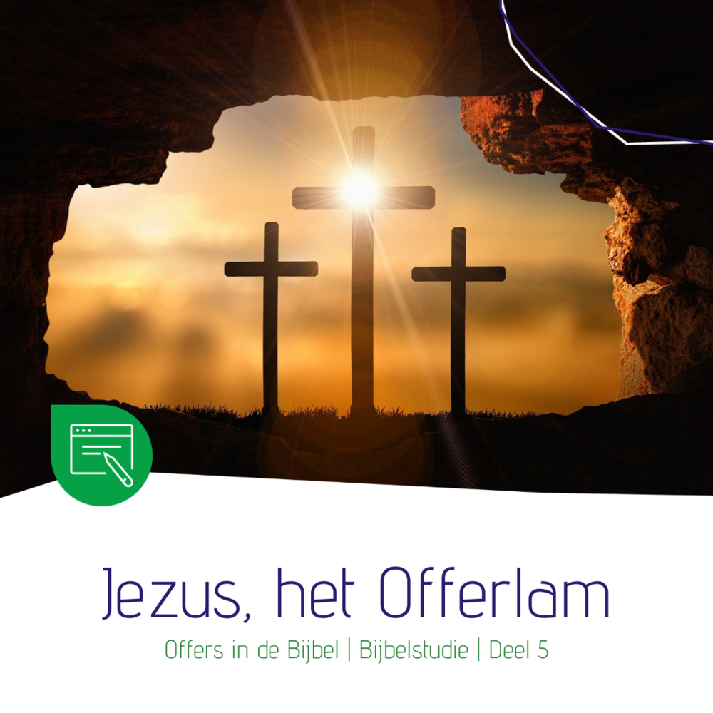 Welkom bij de Hersteld Hervormde Jongeren Organisatie - HHJO