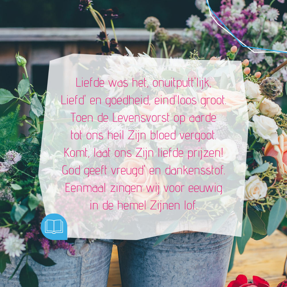 Welkom bij de Hersteld Hervormde Jongeren Organisatie - HHJO