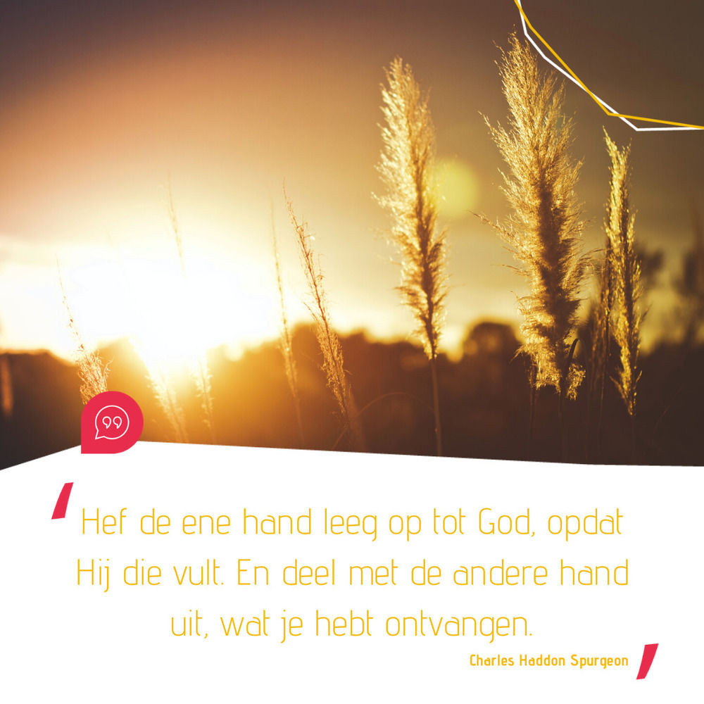 Welkom bij de Hersteld Hervormde Jongeren Organisatie - HHJO