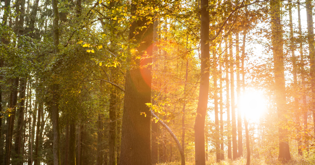 Opdat ik blij Uw komst verwacht - HHJO