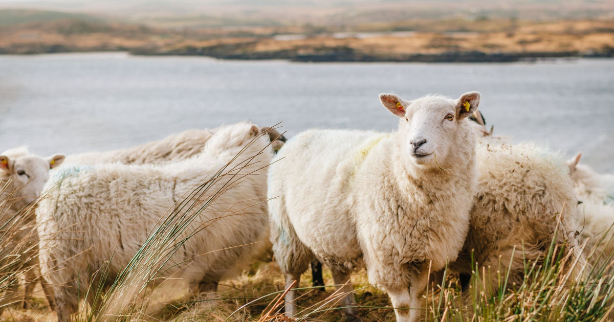 Samenspan(ning) - HHJO